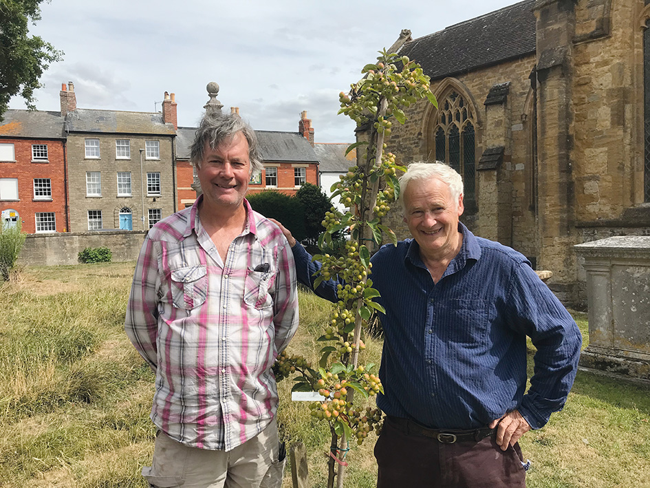 Bridport Tree Planting takes a root-and-branch approach to greening ...